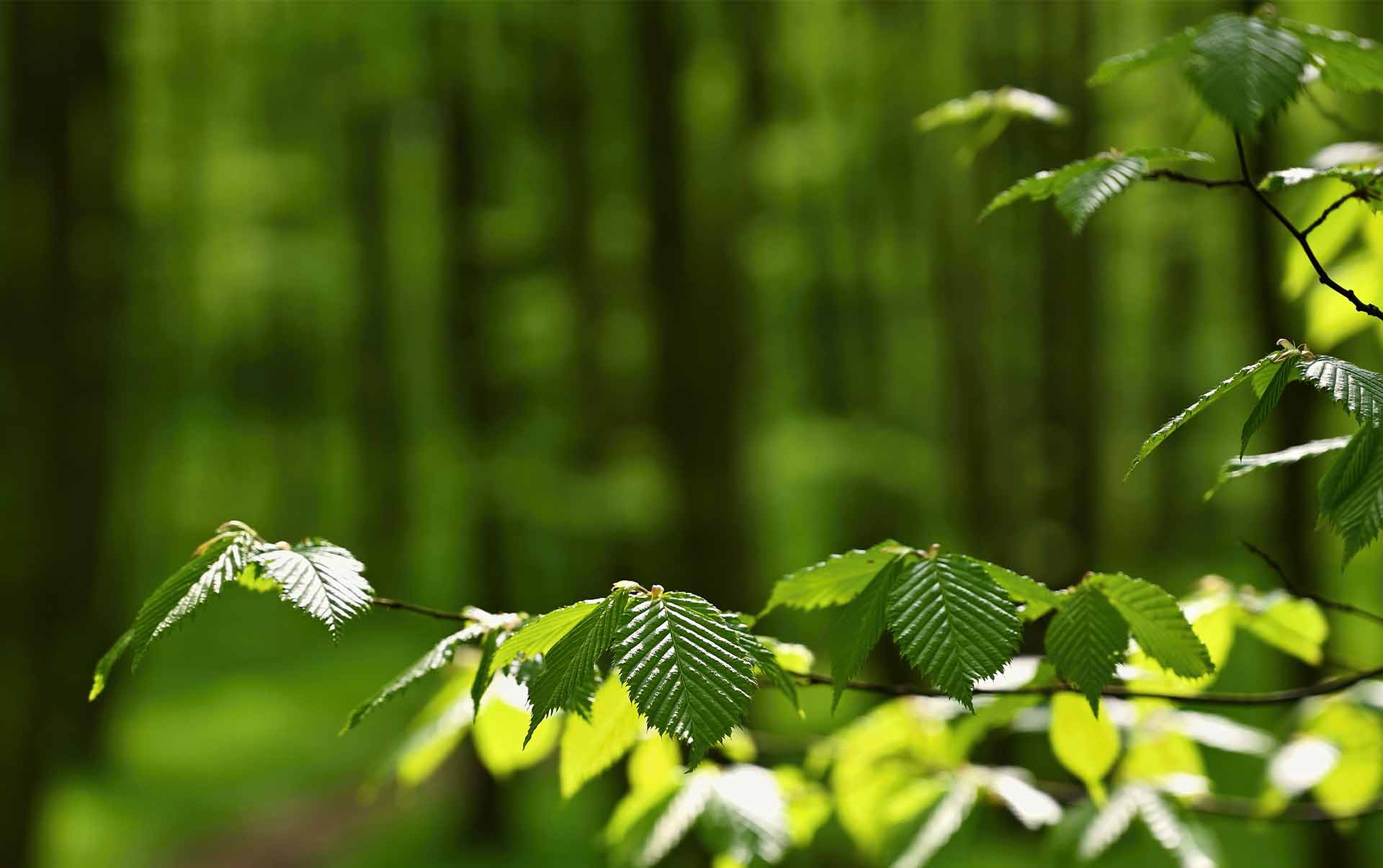 Power Electronics | Eltwin | Eltwin